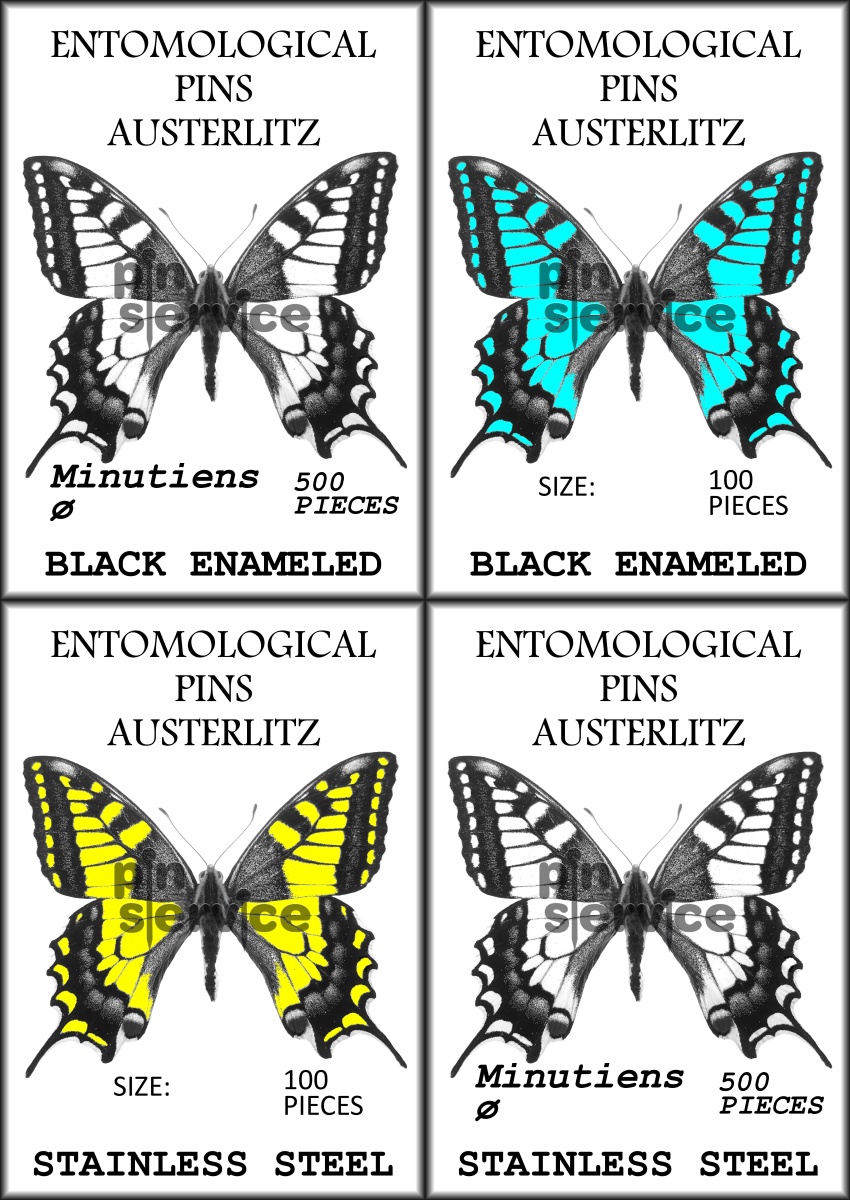 Entomological insect pins Austerlitz